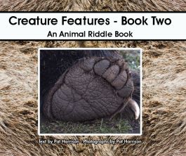 Creature Features - Book Two - Level C/4