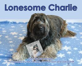 Lonesome Charlie - LevelG/12