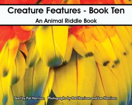 Creature Features - Book Ten - Level F/10