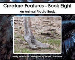 Creature Features - Book Eight - Level F/9