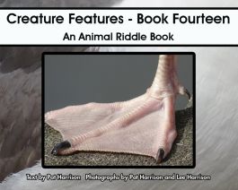 Creature Features - Book Fourteen - Level H/14