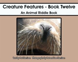 Creature Features - Book Twelve - Level G/12